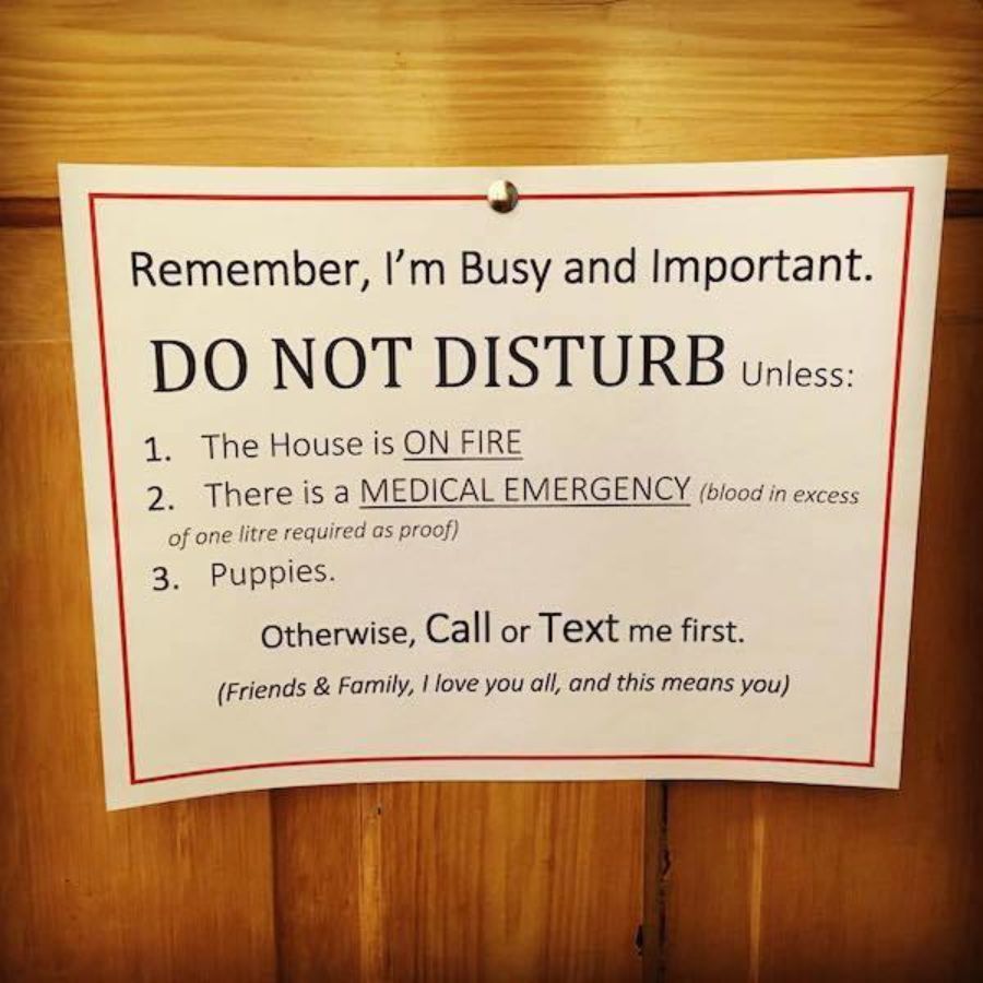 12 Clever and Funny “Do Not Disturb” Door Sign Ideas For Office That ...