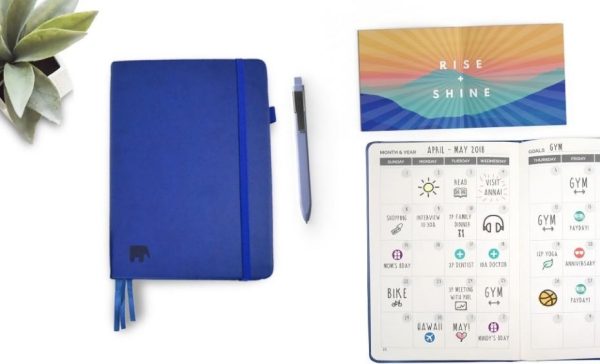 11 Best Productivity Planners 2020 for Building Healthy Habits and ...