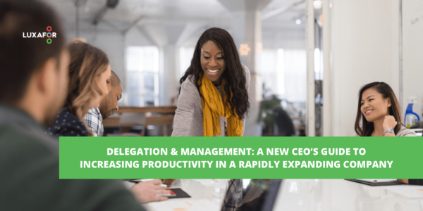 Delegation & Management: A New CEO’s Guide to Increasing Productivity in a Rapidly Expanding ...