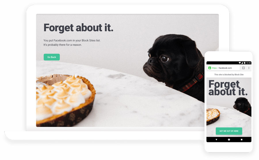 13 Best Free Website Blocker Apps for Boosting Your Productivity (2023 ...